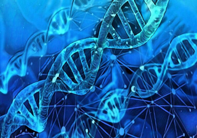 What is Biochemistry? Let's discuss in Brief | Laboratory Hub