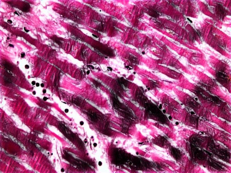 Definition & Basics of Histopathology » Laboratory Hub