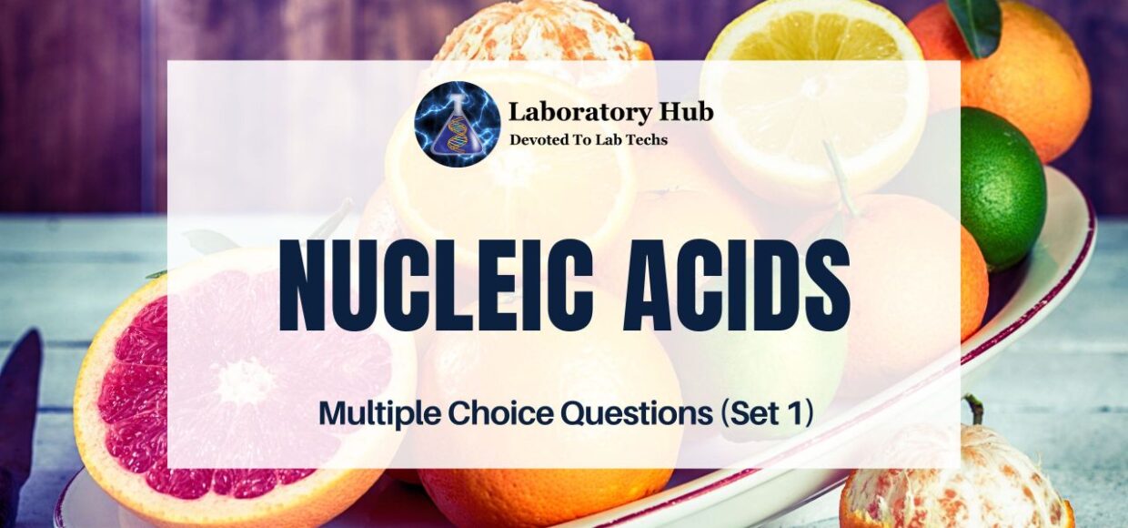 Nucleic Acids - Multiple Choice Questions (Set 1) - Laboratory Hub