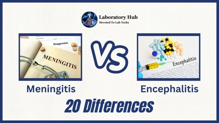 Meningitis vs Encephalitis- 20 Differences | Laboratory Hub