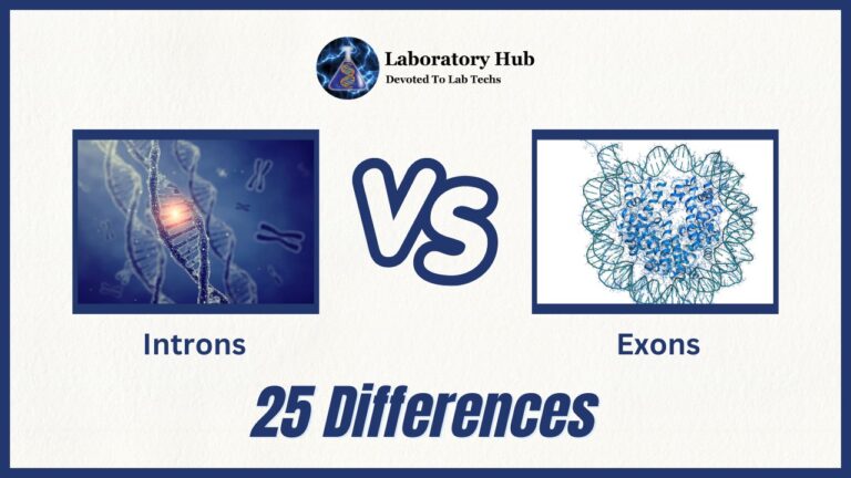 25 Major Differences between introns and exons