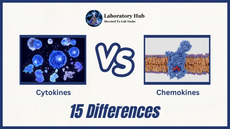 15 Differences Cytokines vs Chemokines » Laboratory Hub
