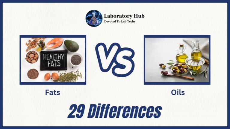 29 Difference Between Fats and Oils