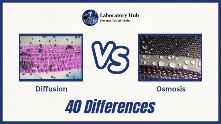 40 Difference Between Diffusion and Osmosis