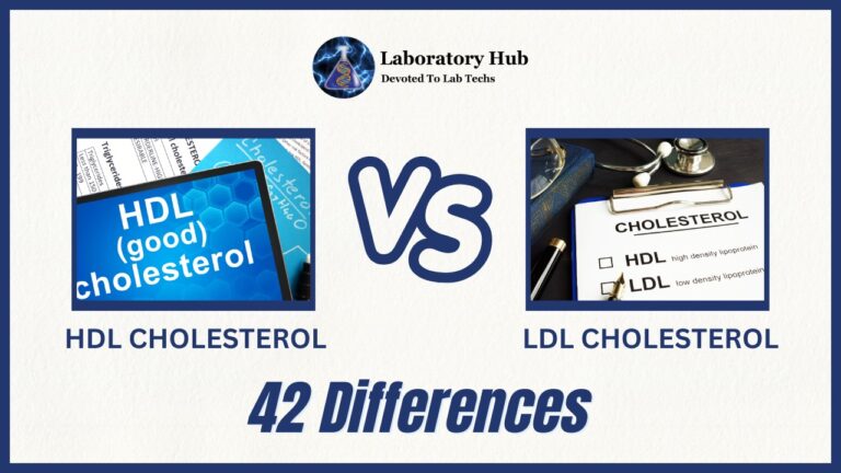42 DIFFERENCES BETWEEN HDL AND LDL CHOLESTEROL